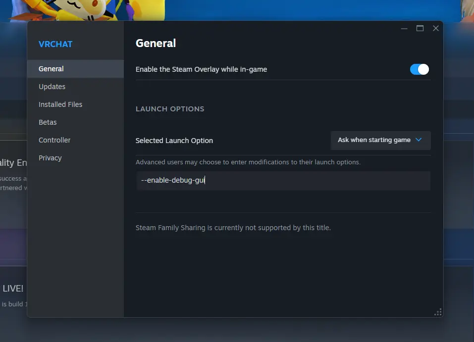 File:SteamDebugLaunchParam.webp - VRChat Wiki